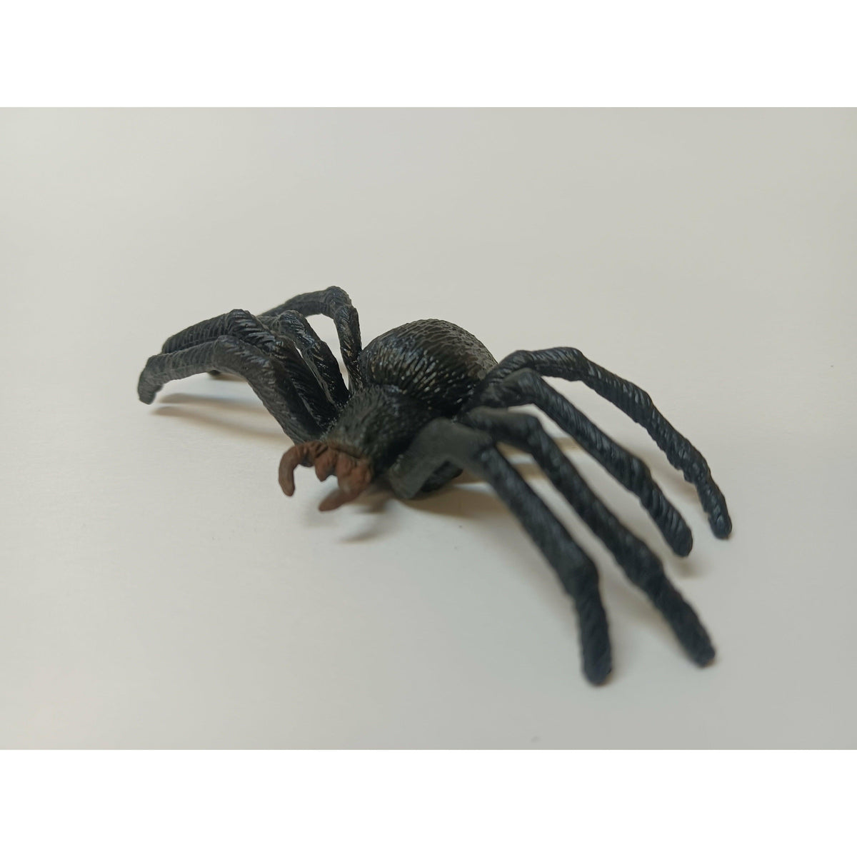 Tarantula Spider – Buy Fake Snakes